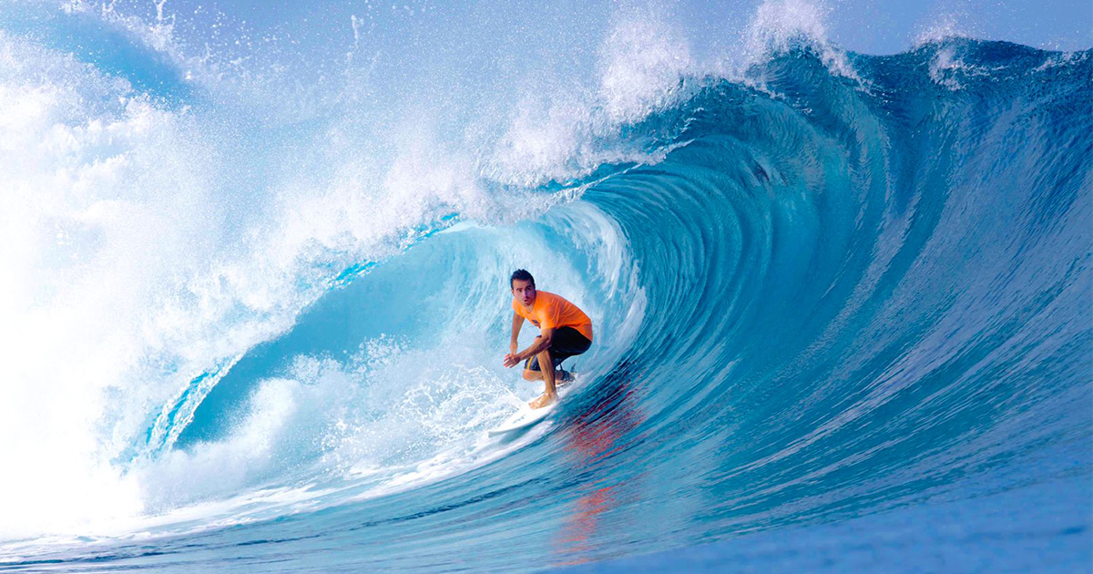 Surf, linguagens e formatos | Caminhos para sustentar a arte - Flamboiar